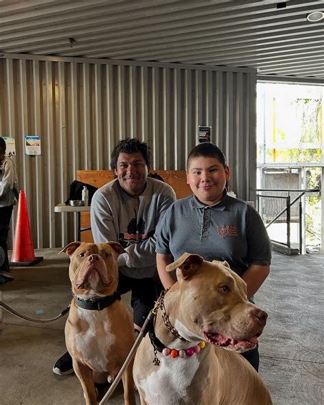 Camino Nuevo Dalzell Lance Hs Cnhsdal • Instagram Photos And Videos