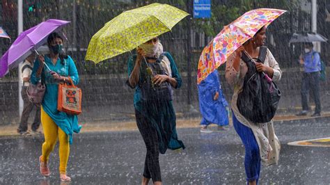 Incredible Compilation Of 4k Rain Images Over 999 Stunning Photos