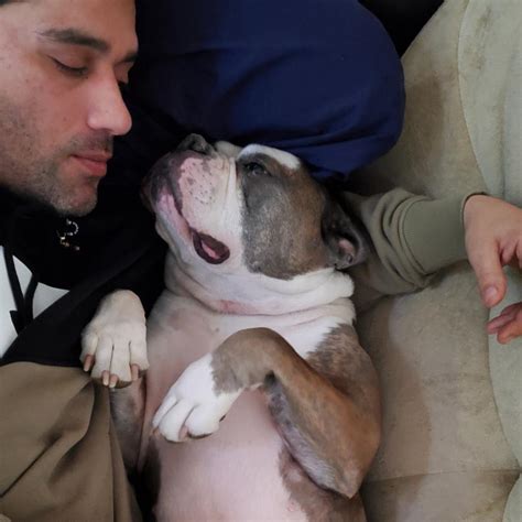 Love After Rescue R Ladybonersgonecuddly