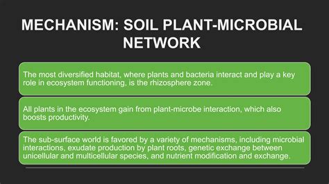 Recent Advancement In Genetically Engineered Microbes To Improve Soil