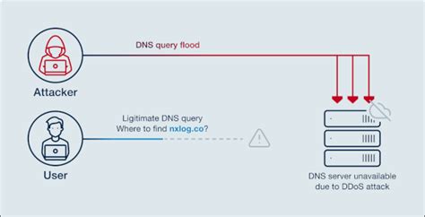 The Importance Of Dns Logging For Enterprise Security White Papers