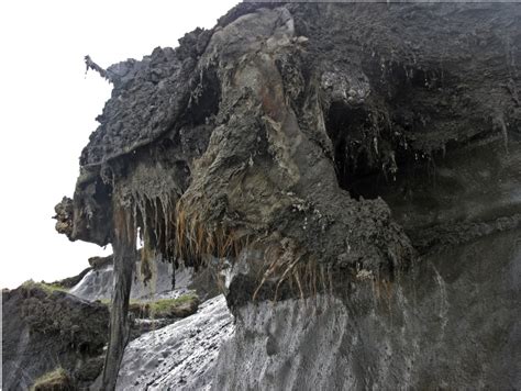 The Location Of The Discovery Of The Yuka Mammoth Carcass Along The