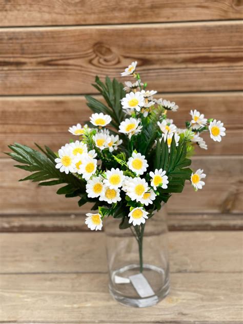 מיני מרגריטה סינתטי משתלת דרויאן