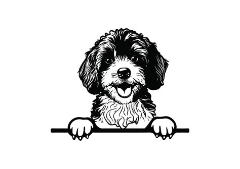Peeking Cavapoo Svg Peeking Cavapoo Clipart Peeking Cavapoo Etsy