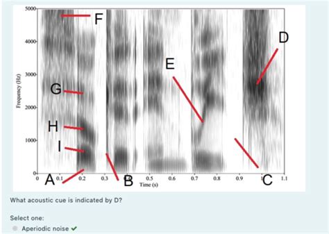 Spectrogram Bootcamp Questions Flashcards Quizlet