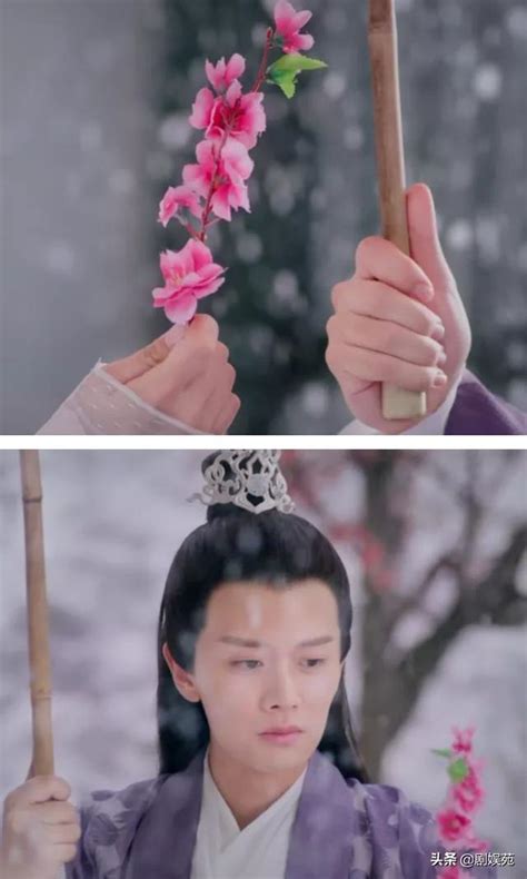 我只送了你一枝桃花，你卻給了我整個桃花林，紫宣實力寵小白！ 每日頭條