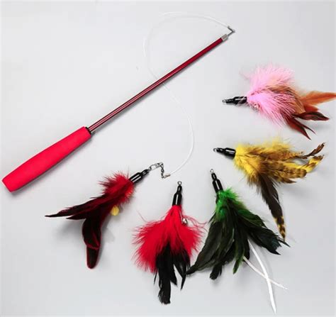 Three Section Retractable Cat Playing Stick With 5 Replacement Head
