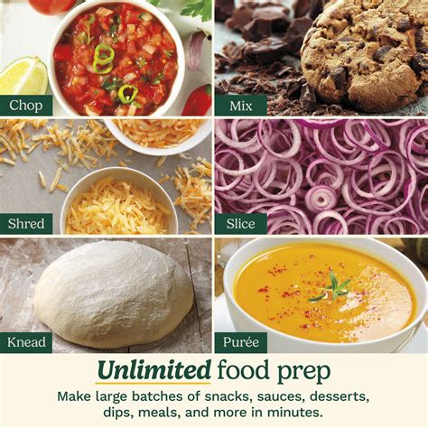 9 Cup Continuous Feed Food Processor Cuisinart