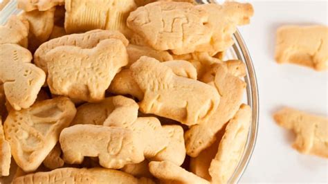 National Animal Crackers Day Here Are 6 Facts You Might Not Know