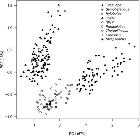 Bivariate Plot Of Principal Components 1 And 2 Sample Derives From