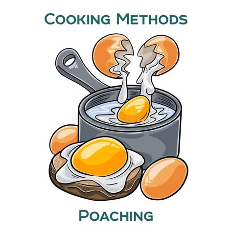 Poaching Cooking Methods Stock Illustration Illustration Of Chef 419467019
