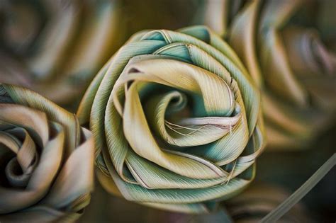 Sweetgrass Roses Rose Charleston Wedding Wedding Designs