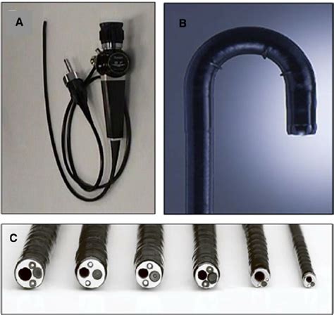 Flexible Bronchoscopy