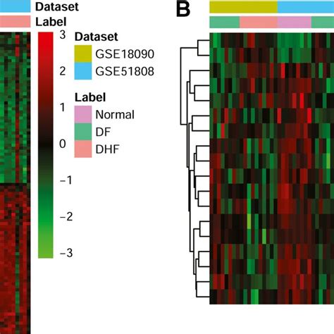 Heatmap Image Displaying Genes That Were Significantly Up‐regulated Or