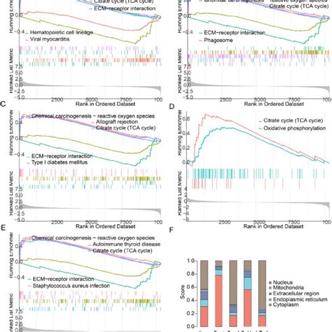 Gsea And Subcellular Localization Of Each Hub Gene A Gsea Of Ibsp