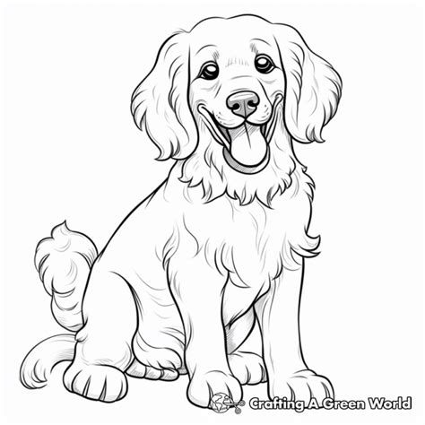 Cocker Spaniel Coloring Pages Free And Printable