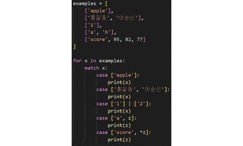 [python 기초] 파이썬의 조건문 match ~ case문의 개념 인천일보아카데미