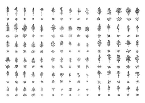 Trees And Pine Trees Dwg Cad Blocks In Plan And Elevation 90 Pieces Cadnature