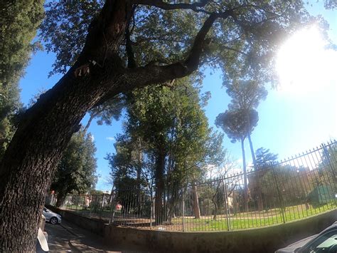 Villa Massimo Piazza Bologna Roma