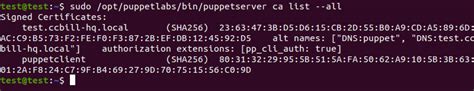Install Puppet On Ubuntu Step By Step PhoenixNAP KB