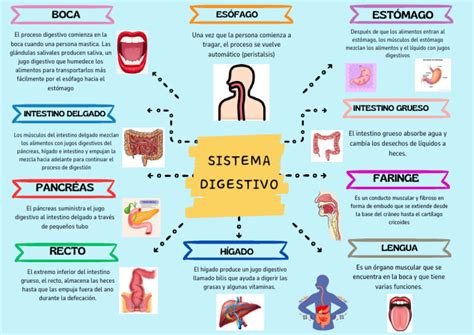 Organizador Grafico Conceptual Doodle Multicolor 1 Pdf Sistema