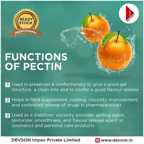 Pectin Powder Food Grade Packaging Size 25 Kg At ₹ 1100kg In Mumbai