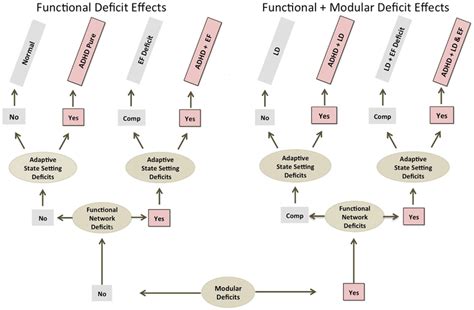 Adhd Comorbidity And Primary Deficit Source Considerations This Shows Download Scientific