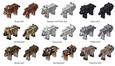 Minecraft Snapshot 24w10a Adds 8 New Wolf Variants Beebom