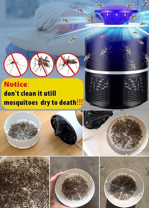 Bug Zapper And Fruit Fly Trap Electric Mosquito Killer Indoor Outdoor