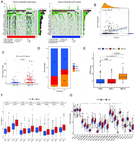 Immunotherapy Response Analysis Of Cps Score A Waterfall Plot Of Download Scientific Diagram