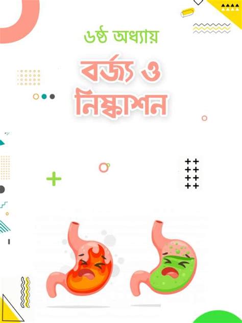 Biology Hsc 25 Batch Final Revision Batch