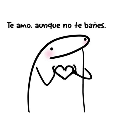 Lindo Meme Te Amo