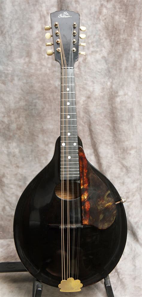Gibson Mandolin Construction At Betty Love Blog