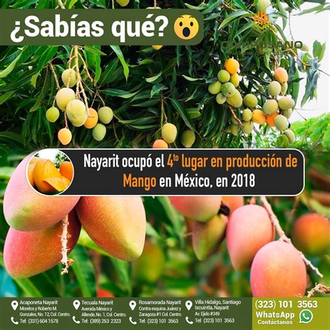 Camposano 🌱 Camposano Para Una Gran Cosecha En 2018