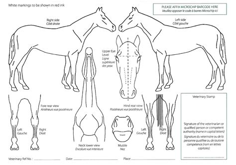 Equine Passport Digital Application Form Nihb