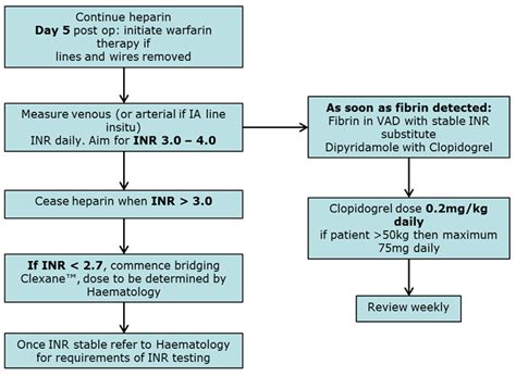 Chest Guidelines On Anticoagulation At Regina Bruce Blog