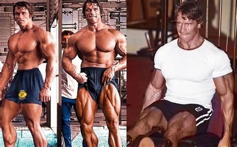 Arnold Schwarzenegger Quadriceps