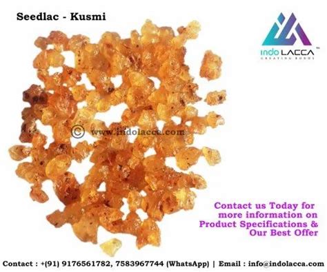 Seedlac For Wood Polish At ₹ 650kg In Balarampur Puruliya District