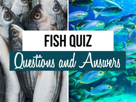 50 Fish Quiz Questions And Answers Quiz Trivia Games