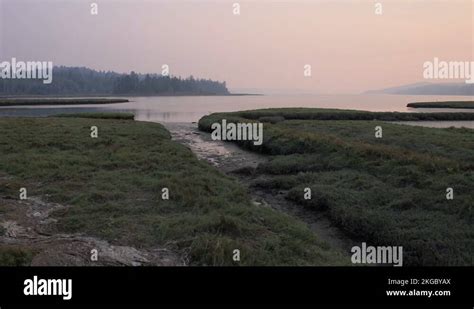 Wetlands Grass Stock Videos And Footage Hd And 4k Video Clips Alamy