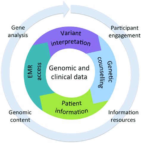 Prism Genomics Implementation Model The Inner Circle Represents The