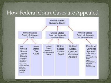 Ppt The National Judiciary Powerpoint Presentation Free Download