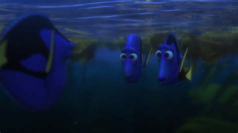 Finding Dory 2016 Animation