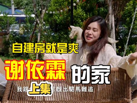 视频去哪了呢？哔哩哔哩bilibili