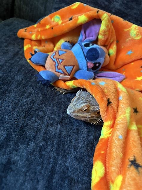 Emalee Watson Emalee Watson Added A New Photo