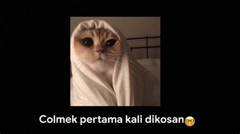 Bu Linda Guru Binal Sange Doyan Colmek Sampe Becek By Bulana 24vids