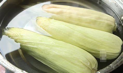 Ng Ch D Ng N C N U Ng Th M Hai Th Nh Ph N N A Gi Nguy N Ch T Dinh D Ng V L M Ng