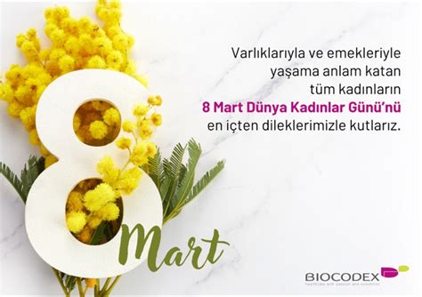 Erkan Nuri Akinci Posted On Linkedin