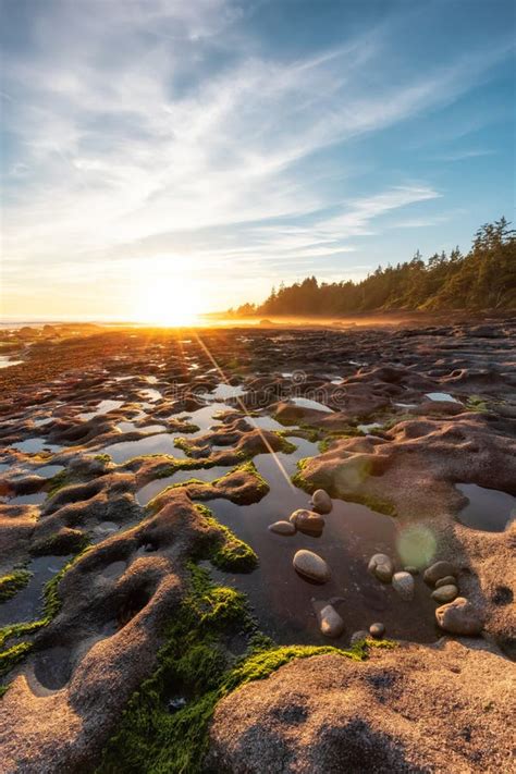 Botanical Beach Port Renfrew Vancouver Island British Columbia