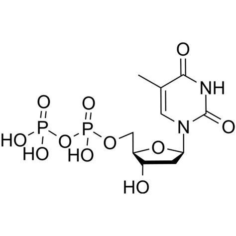 Deoxythymidine Diphosphate